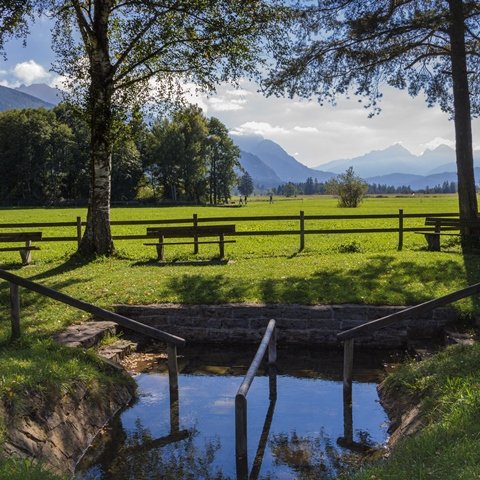 Halblech im Allgäu - Webcam der Gemeinde - Panormablick auf das ...